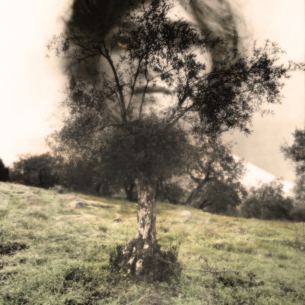 Alice Odilon - Home - French contemporary photographer.