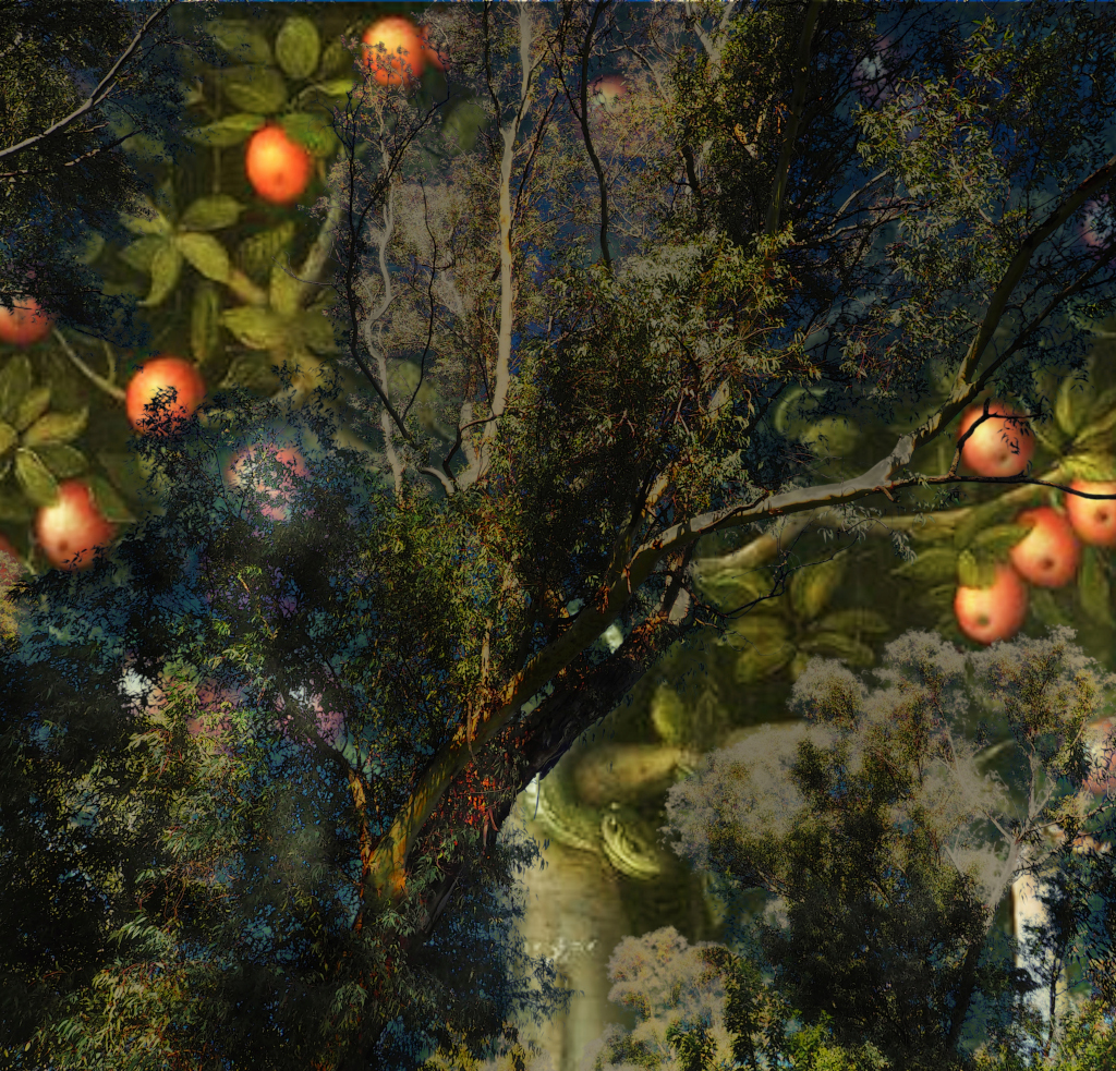 Alice Odilon - Home - French contemporary photographer.